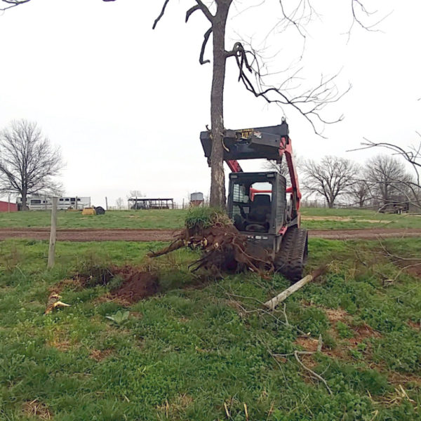 Tree Puller with 10" Opening Gap - Harleman Manufacturing